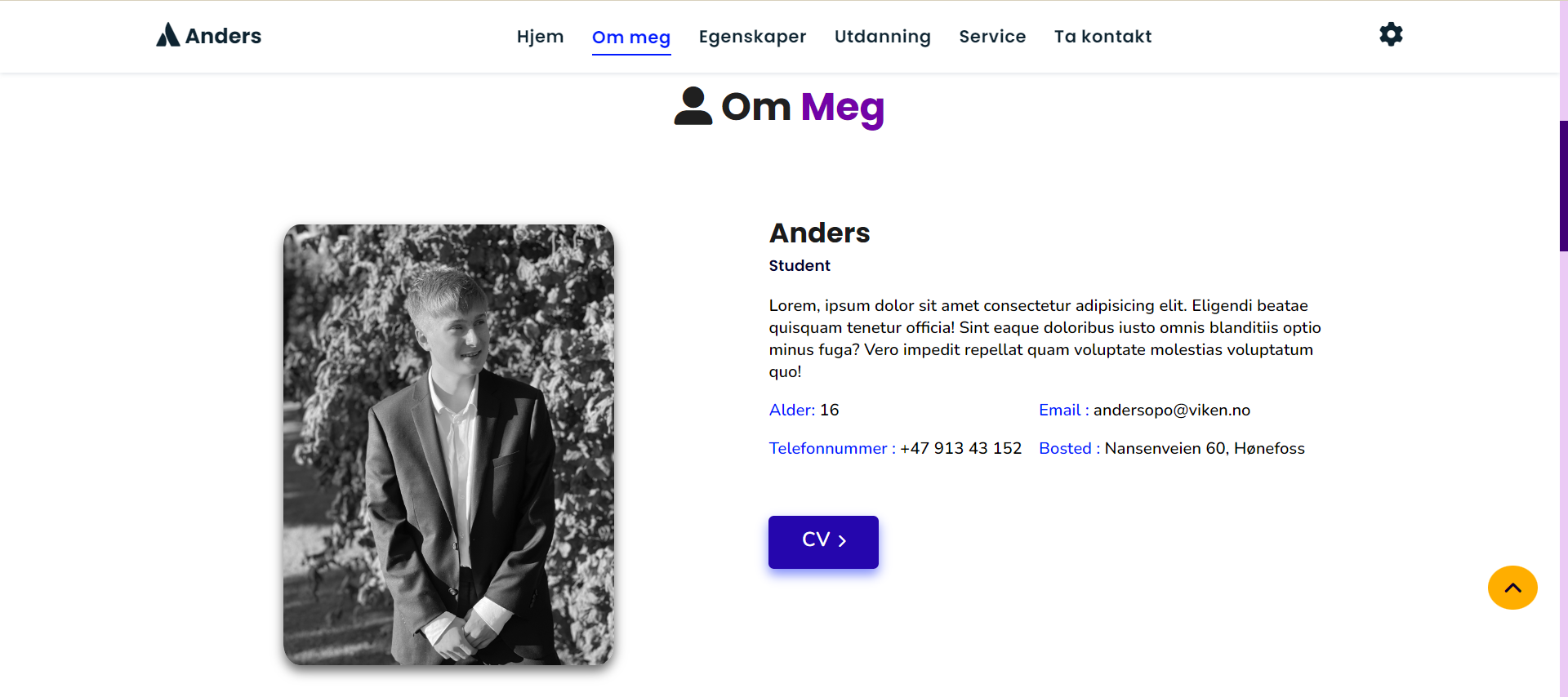 Portfolio | Anders